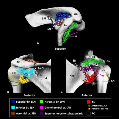 액와신경 차단술Axillary nerve block : 네이버 블로그