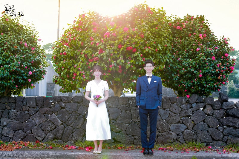 꽃구름스튜디오 겨울 동백꽃 제주 웨딩스냅촬영 이야기 대전 웨딩스냅 And 청주 웨딩화보 And 스냅사진 네이버 블로그