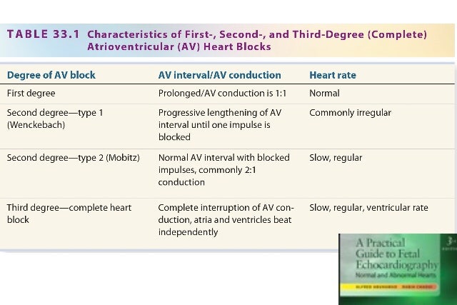 chap 33 정리] Fetal arrhythmias : 네이버 블로그