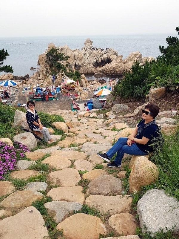 울산 태화강대공원 십리 대숲 울산 대왕암공원 울산 가볼만한 곳20190701 25 네이버 블로그