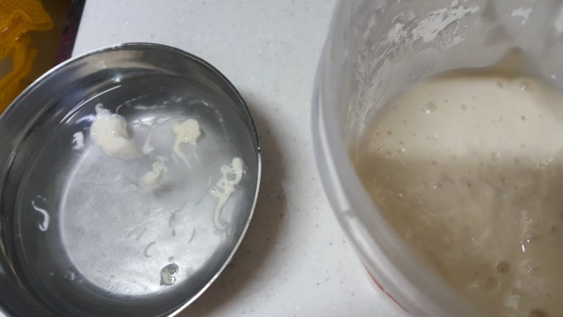 천연발효종 포카치아 만들기 네이버 블로그