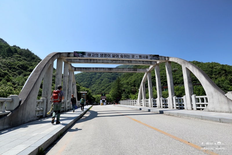지리산 뱀사골계곡 트레킹~! (뱀사골 신선길~요룡대~탁용소~뱀소~평풍소~제승대~간장소~와운마을 천년송~반선 원점회귀) : 네이버 블로그