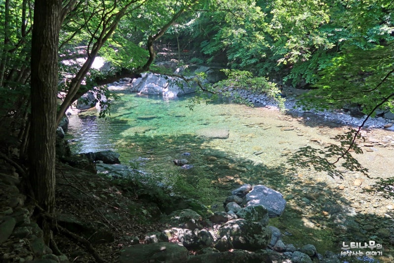 지리산 뱀사골계곡 트레킹~! (뱀사골 신선길~요룡대~탁용소~뱀소~평풍소~제승대~간장소~와운마을 천년송~반선 원점회귀) : 네이버 블로그