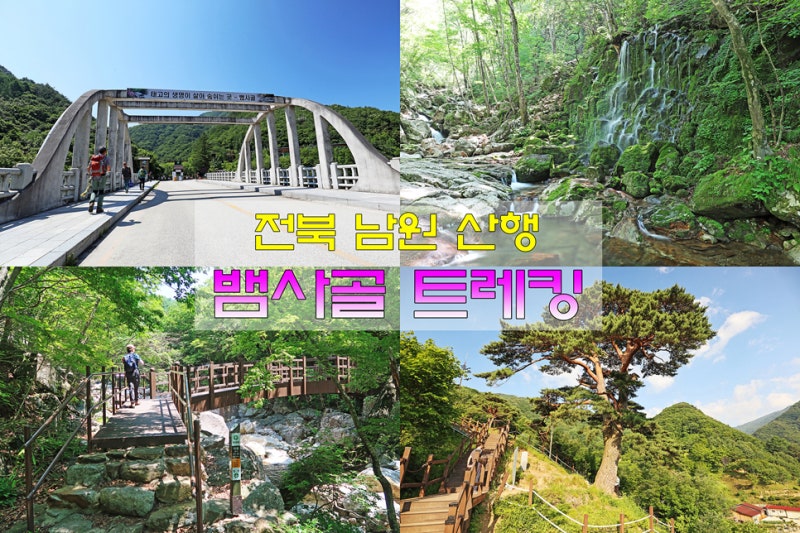 지리산 뱀사골계곡 트레킹~! (뱀사골 신선길~요룡대~탁용소~뱀소~평풍소~제승대~간장소~와운마을 천년송~반선 원점회귀) : 네이버 블로그