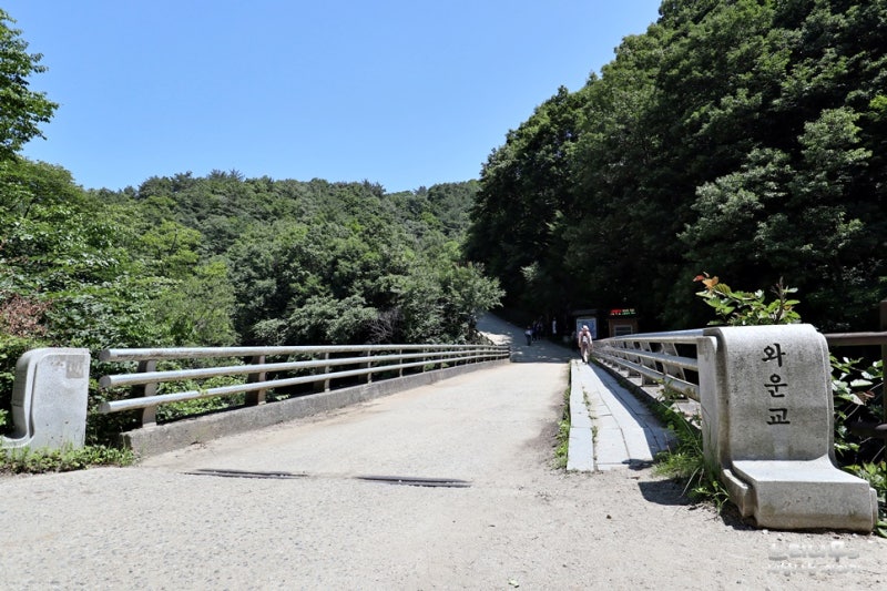 지리산 뱀사골계곡 트레킹~! (뱀사골 신선길~요룡대~탁용소~뱀소~평풍소~제승대~간장소~와운마을 천년송~반선 원점회귀) : 네이버 블로그