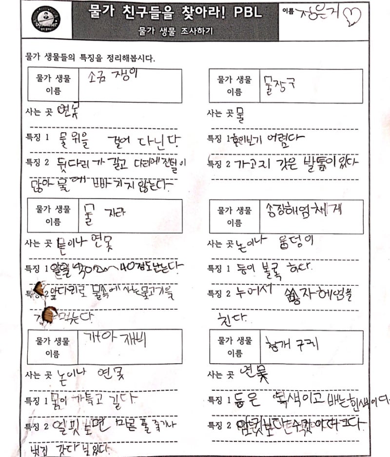 달리쌤 Pbl 물가 친구들을 찾아라 Step4 물가에 사는 생물 공부하기프로젝트수업프로젝트학습문제중심학습현상기반학습