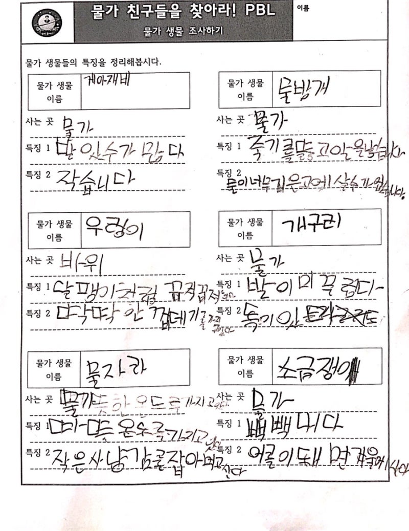 달리쌤 Pbl 물가 친구들을 찾아라 Step4 물가에 사는 생물 공부하기프로젝트수업프로젝트학습문제중심학습현상기반학습