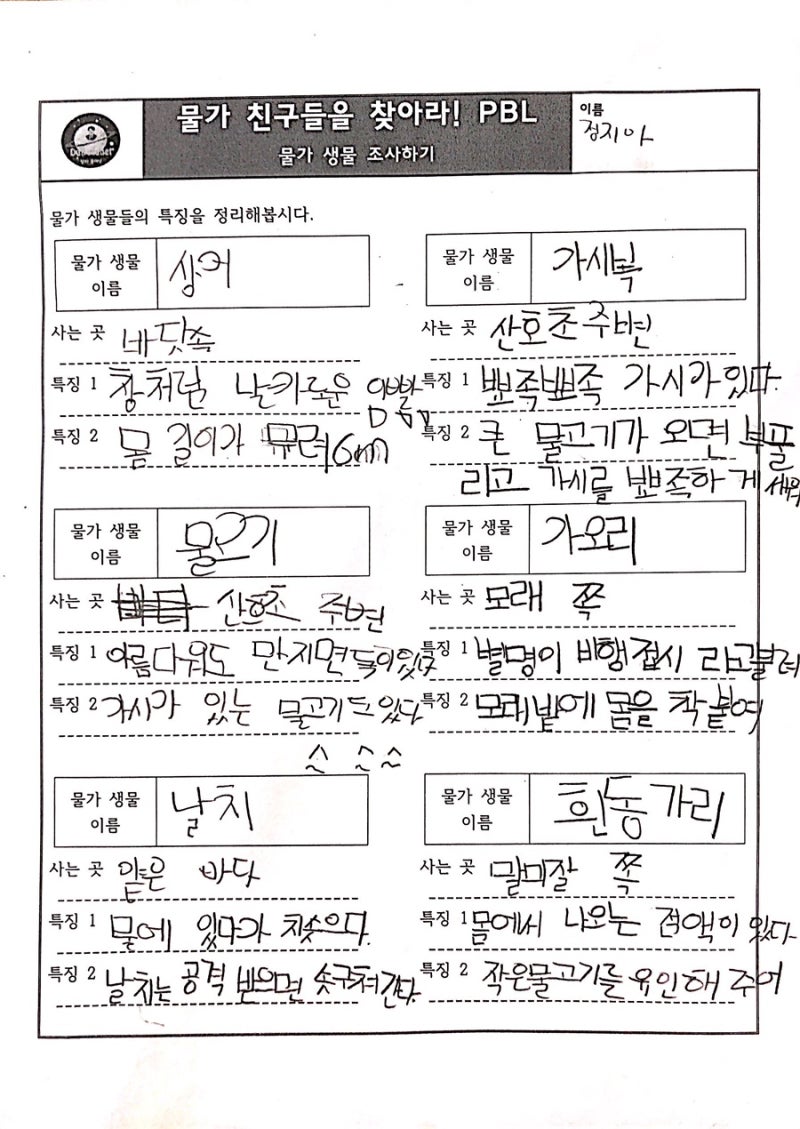 달리쌤 Pbl 물가 친구들을 찾아라 Step4 물가에 사는 생물 공부하기프로젝트수업프로젝트학습문제중심학습현상기반학습