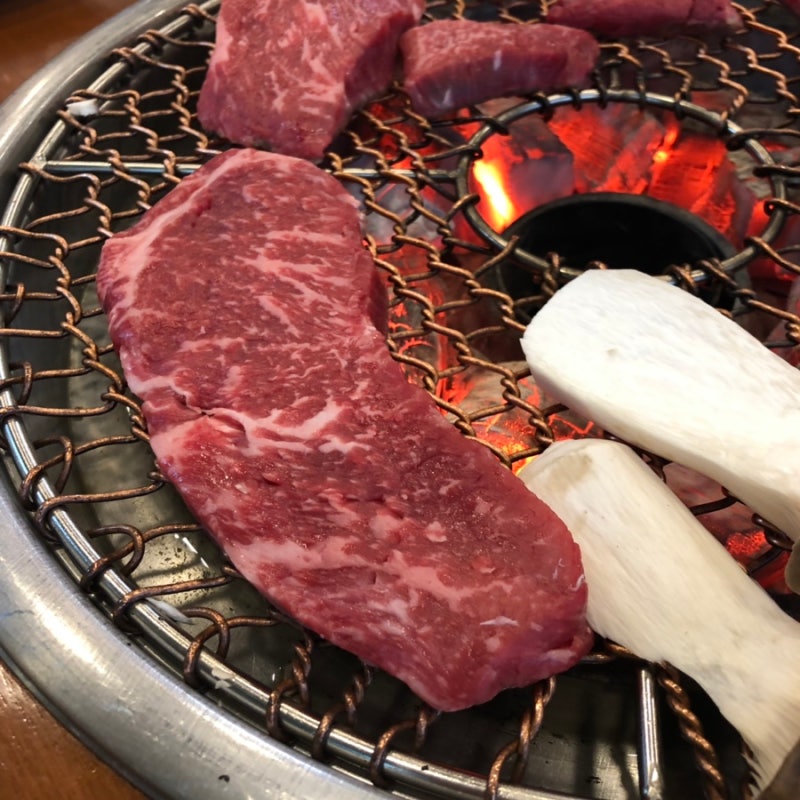 영암 기찬랜드 맛집 매력한우 명품관 한우 끝내주네요ㅠ 네이버 블로그