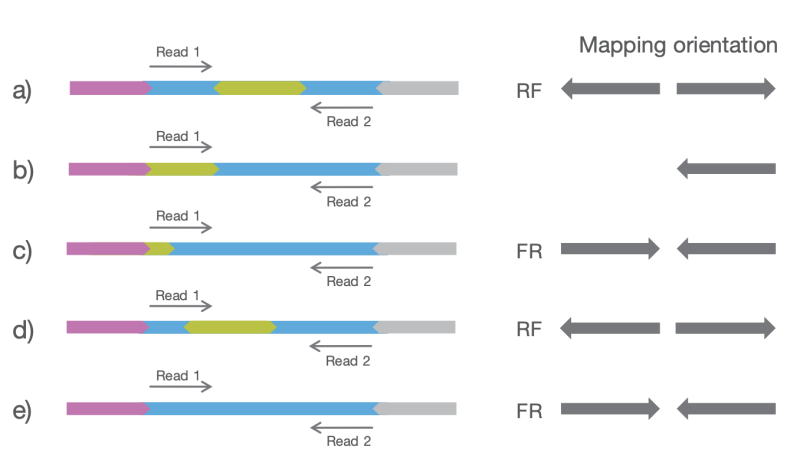 Directional RNA-seq : 네이버 블로그