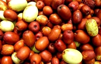 말린대추 효능 대추고를 만들어서 대추차 우려내기 : 네이버 블로그