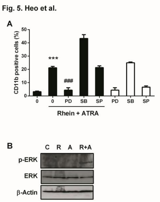 [암/본초] Rhein(대황 성분)은 ATRA(all-trans retinoic acid)로 유도된 급성전골수성백혈병 세포의 ...