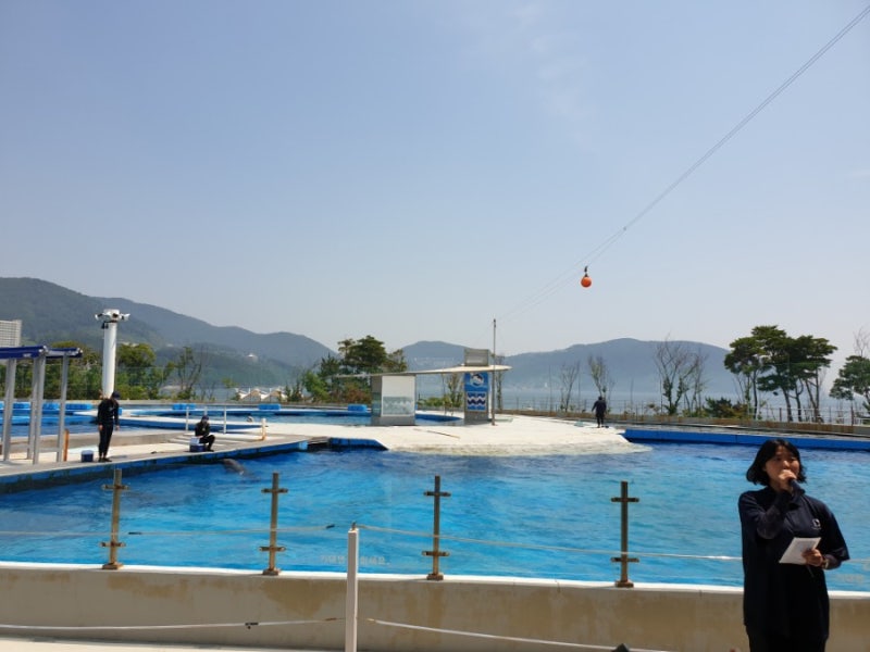 거제여행 거제 씨월드돌고래 벨루가 네이버 블로그