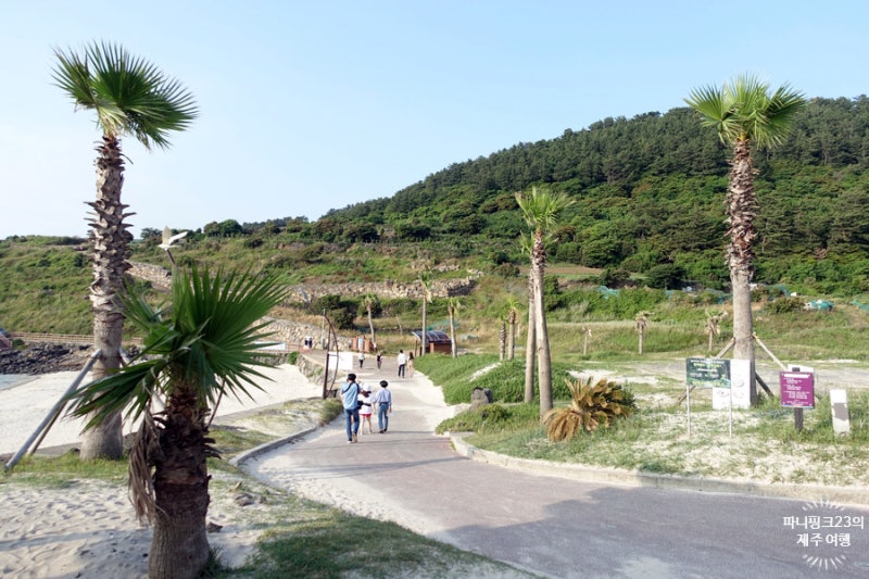 제주 여행 함덕 서우봉 해변 서우봉 둘레길 산책하기 네이버 블로그
