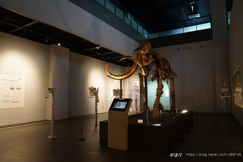 대전 천연기념물센터 여행대전 아이들과 가볼만한곳 놀러갈만한곳 네이버 블로그