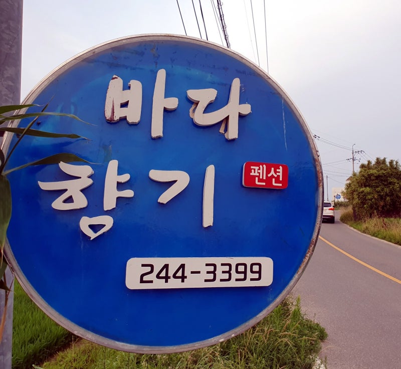 포항 북구 화진해수욕장 수영장 스파 펜션 바다향기펜션 네이버 블로그