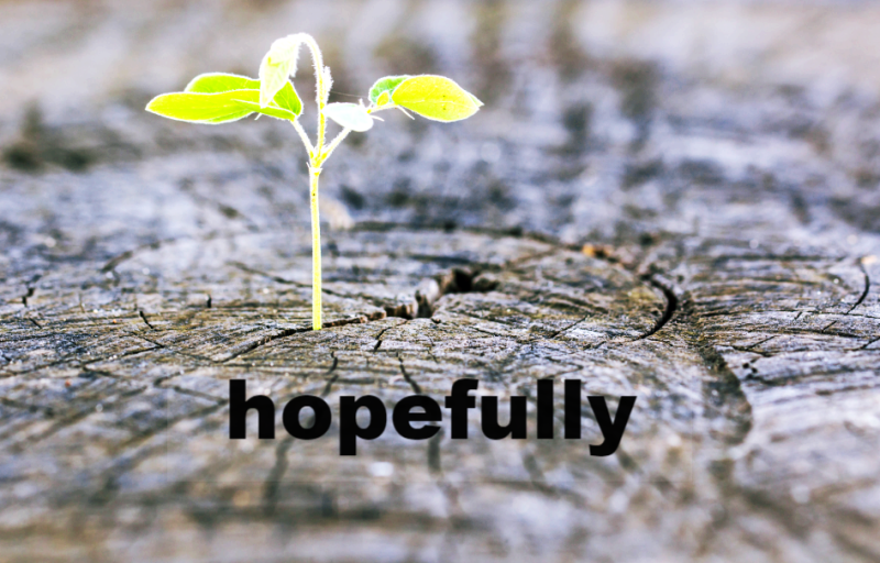 hope, hopefully 이렇게 사용하자 : 네이버 블로그