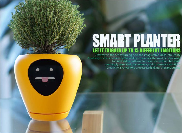 감정을 표현하는 스마트 화분 - Lua Smart Planter : 네이버 블로그