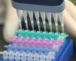 3M LAMP(Molecular Detection System, MDS), 미국 USDA FSIS에 등재 : 네이버 블로그