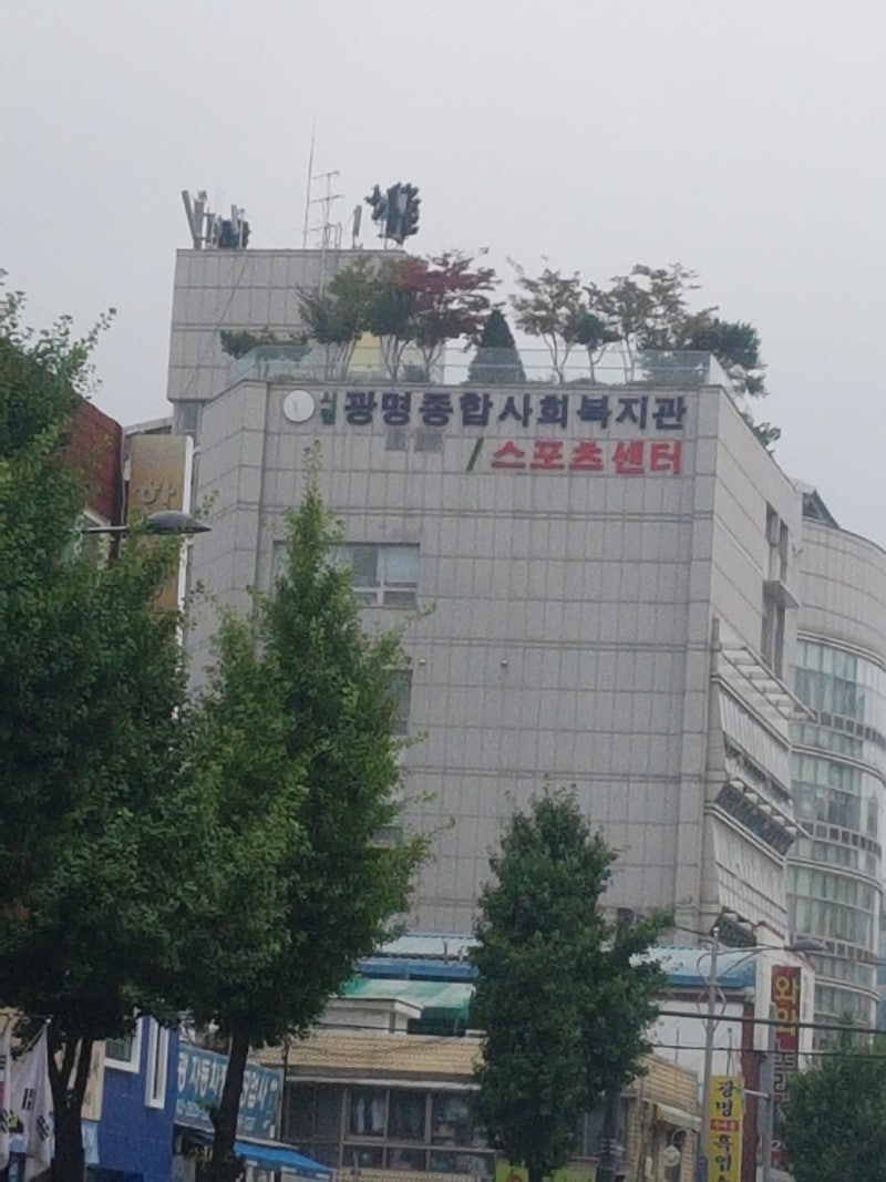 광명유리 광명동유리 철산동유리 하안동유리 옥길동유리 일직동유리 소하동유리 가학동유리 학온동유리 노온사동유리광명시 광명동 한진