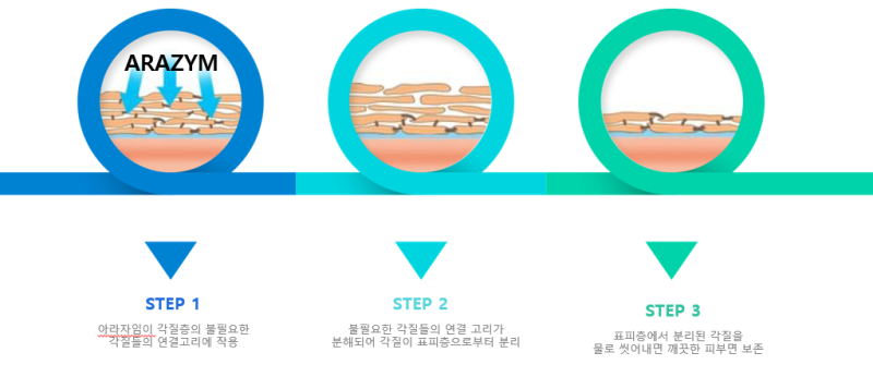 아라자임(ARAZYME) : 네이버 블로그