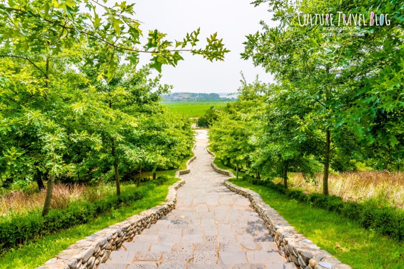 서산 가볼만한곳 서산 버드랜드천수만 철새 생태관람 네이버 블로그