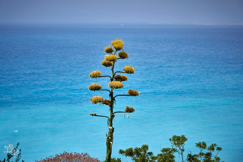 [남프랑스 니스] 니스 해변(영국인의 산책로)이 한눈에 내려다보이는 곳, 니스 전망대 BELLANDA TOWER : 네이버 블로그