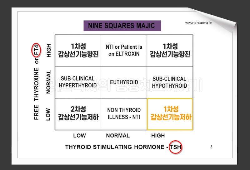 부평외과 갑상선 T3 T4 Tsh가 뭐예요 A5
