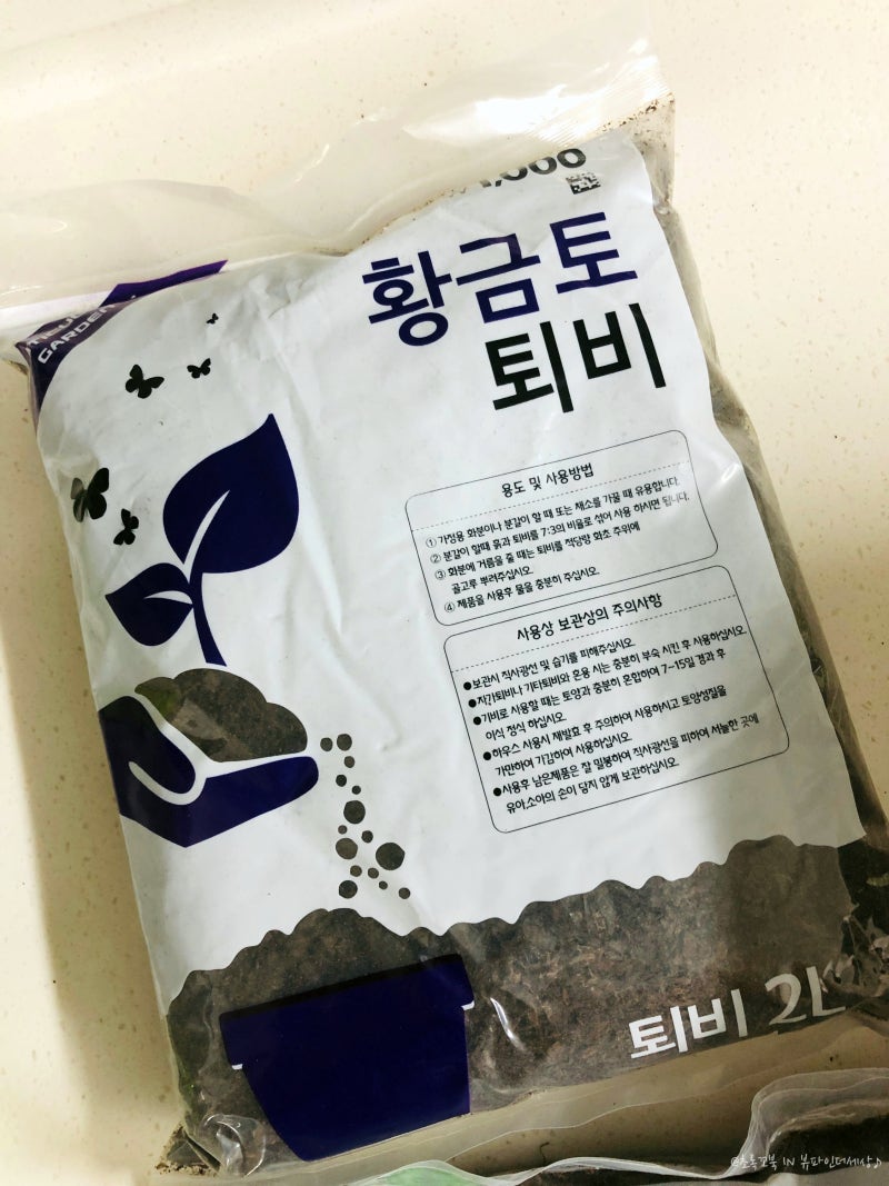 집에서 대파뿌리씨앗 대파키우기 Feat일주일 후기 네이버 블로그