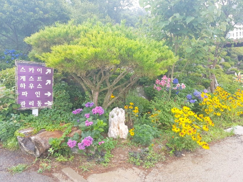 서울근교 오션뷰 캠핑장 강화 씨사이드힐 우중캠핑 후기 네이버 블로그