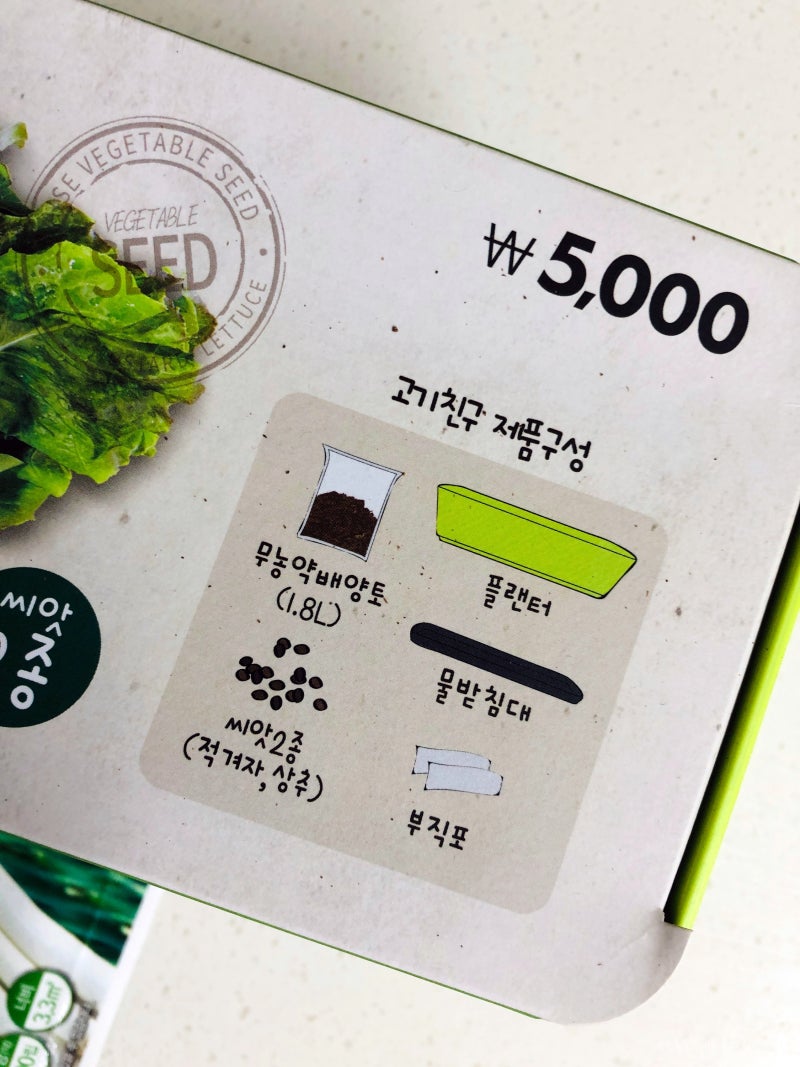 집에서 대파뿌리씨앗 대파키우기 Feat일주일 후기 네이버 블로그