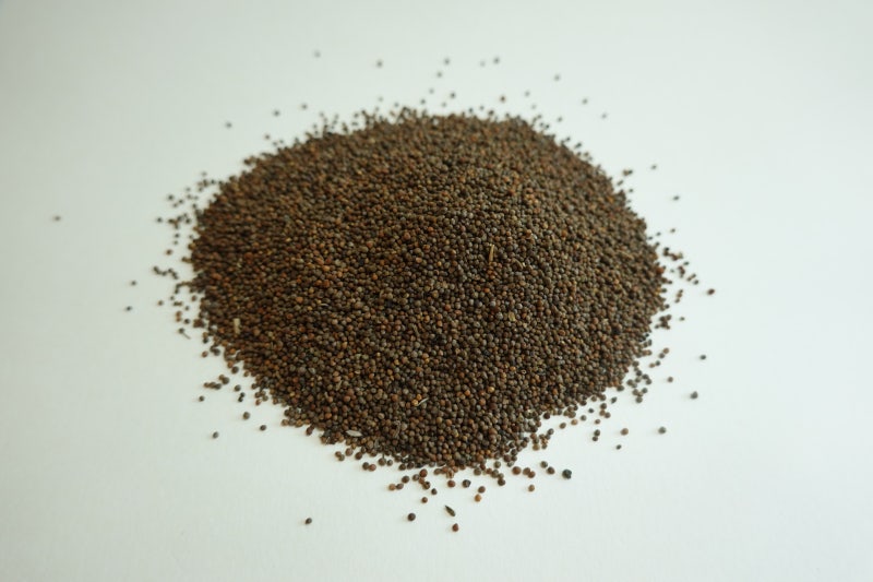 소자 蘇子 Perillae Fructus : 네이버 블로그