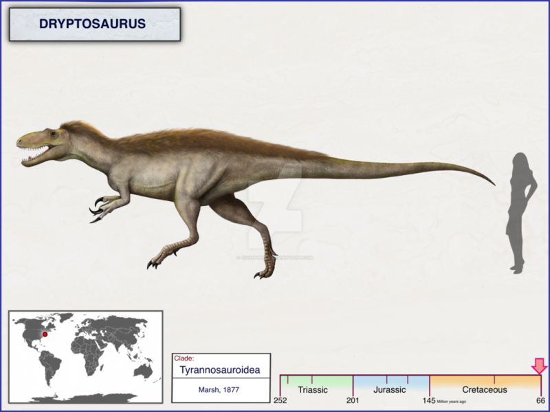 지상 최고의 포식자들 : 네이버 블로그