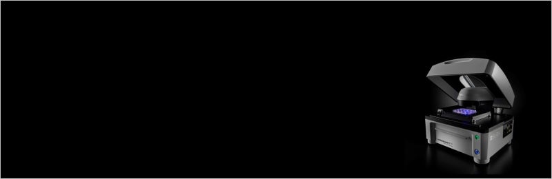 Angiogenesis Imaging, BioTek Lionheart FX로 확인해보세요! : 네이버 블로그