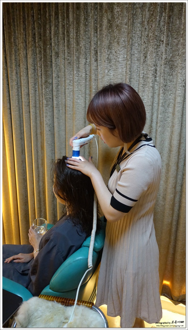 일산 미용실 아내 두피와 헤어클리닉 마음에 들어 네이버 블로그