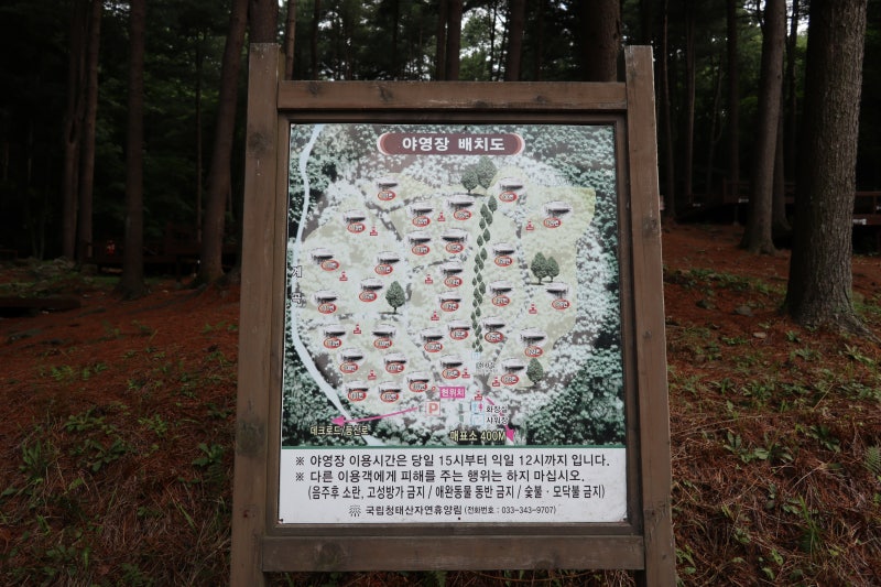 나름대로 쓸모 있는 국립자연휴양림 실전 정보청태산자연휴양림 네이버 블로그