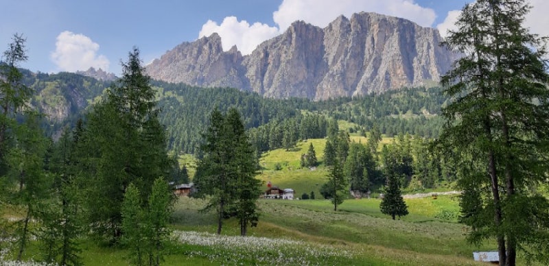 Alta Badia: Hike from Passo Gardena to the Salvan streamlet : 네이버 블로그