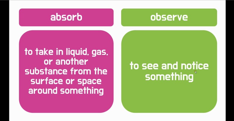 헷갈리는어휘 absorb vs observe : 네이버 블로그
