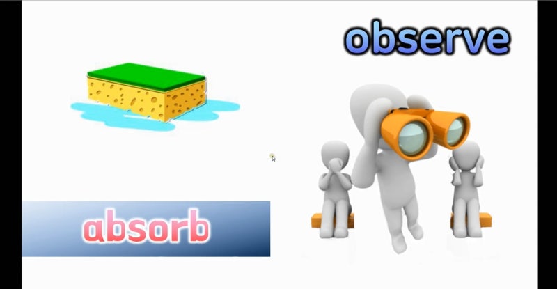 헷갈리는어휘 absorb vs observe : 네이버 블로그