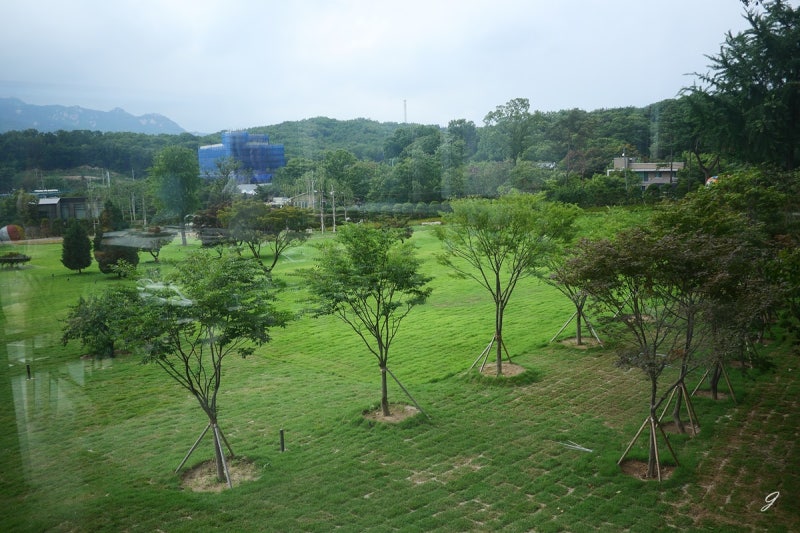 장암동 카페 파크프리베 의정부 분위기 좋은 카페 추천 네이버 블로그