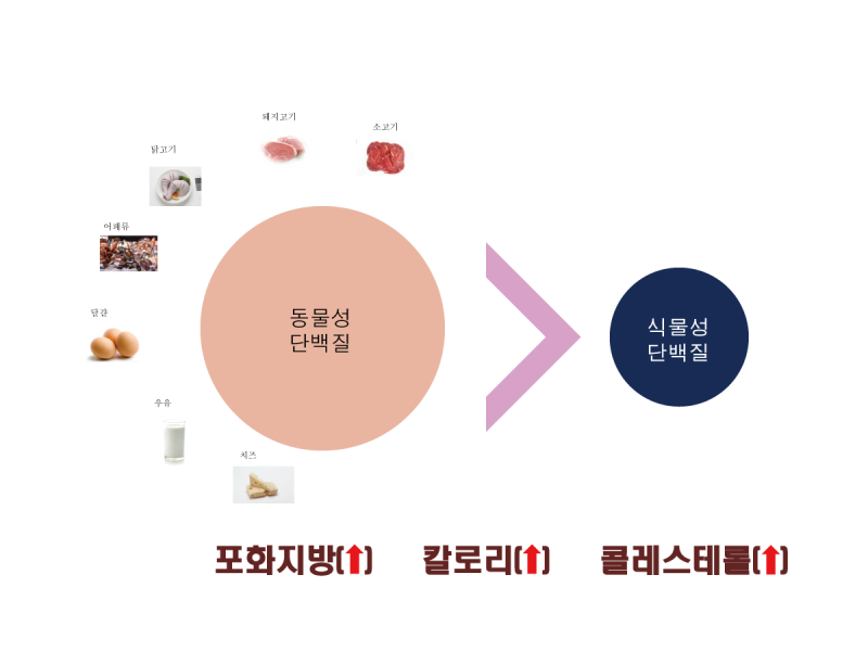 귀리단백질 다이어트 필수품 콜레스테롤 적은 식물성단백질 식물성단백질 흡수율 네이버 블로그