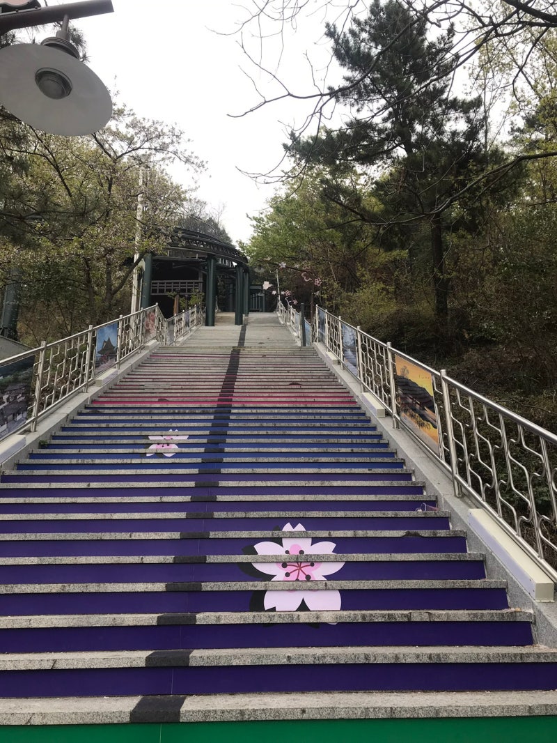 경남 창원 2019 진해 군항제 당일 여행♥ 경화역 여좌천 제황산공원 맛집 원해루 네이버 블로그