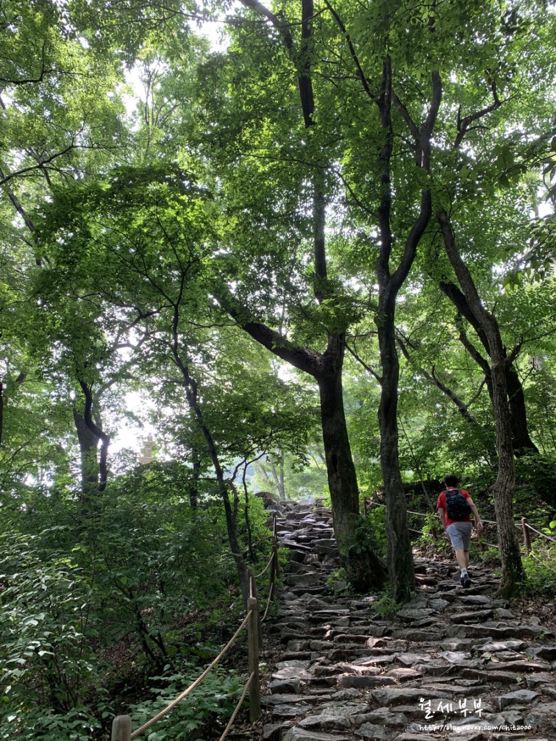 대전 여행 계룡산 동학사 등산코스 계룡산 국립공원 트래킹 계룡산 계곡 네이버 블로그