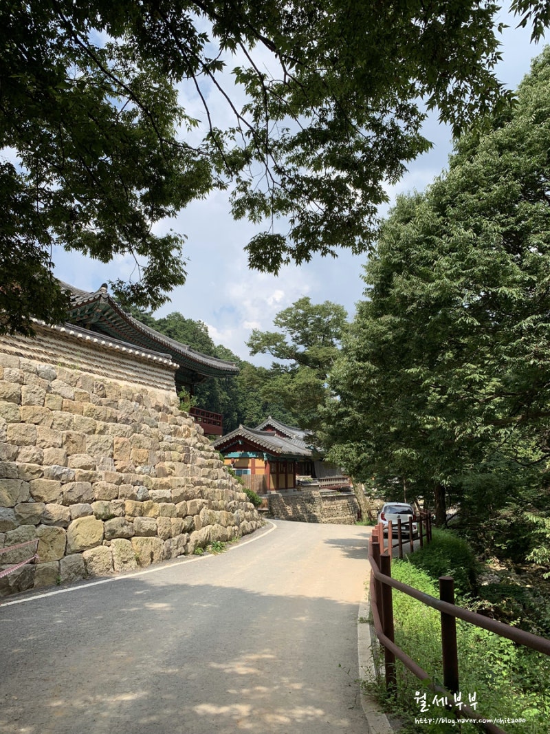 대전 여행 계룡산 동학사 등산코스 계룡산 국립공원 트래킹 계룡산 계곡 네이버 블로그