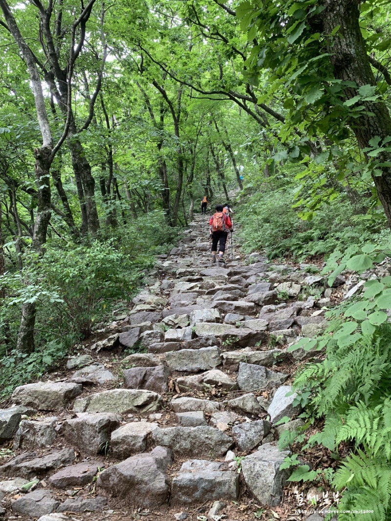대전 여행 계룡산 동학사 등산코스 계룡산 국립공원 트래킹 계룡산 계곡 네이버 블로그