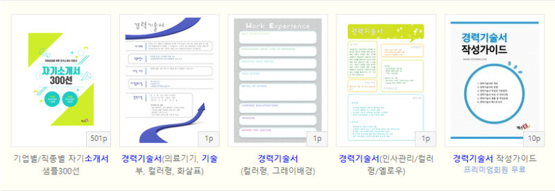 경력기술서 양식and예시로 알아보는 작성방법 네이버 블로그