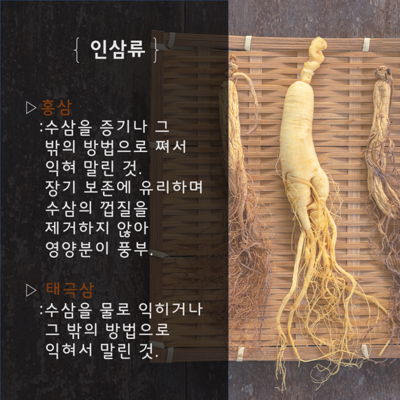 인삼人蔘 인삼의 효능 및 산삼 인삼류수삼 백삼 홍삼 태극삼와의 차이점 네이버 블로그