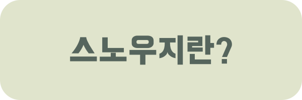 스노우지 인쇄용지 분석 아트지비교 특징 자주하는질문 네이버 블로그