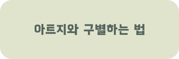 스노우지 인쇄용지 분석 아트지비교 특징 자주하는질문 네이버 블로그