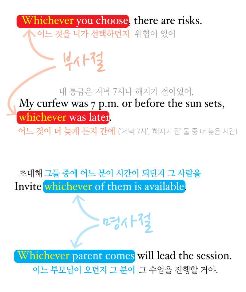 [토익문법] 명사절 what vs. which 차이점 (feat. whichever) : 네이버 블로그